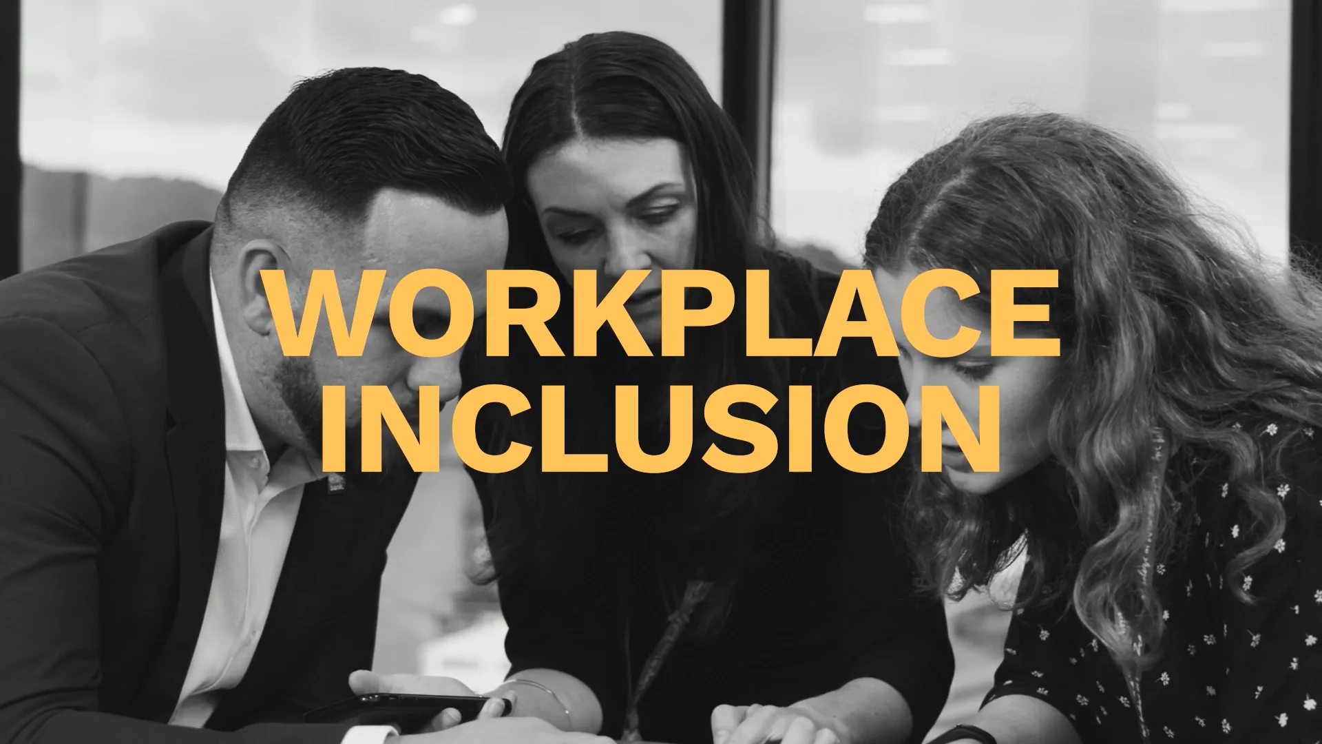 Introducing Workplace Inclusion Professional Accreditation
