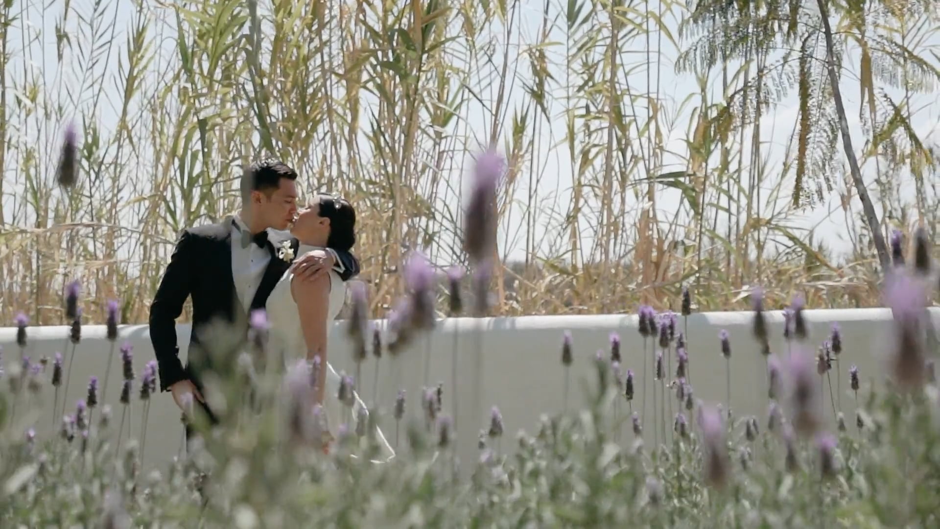 Highligts/Teasers/Videos - Nikki & Dan - Teaser on Vimeo