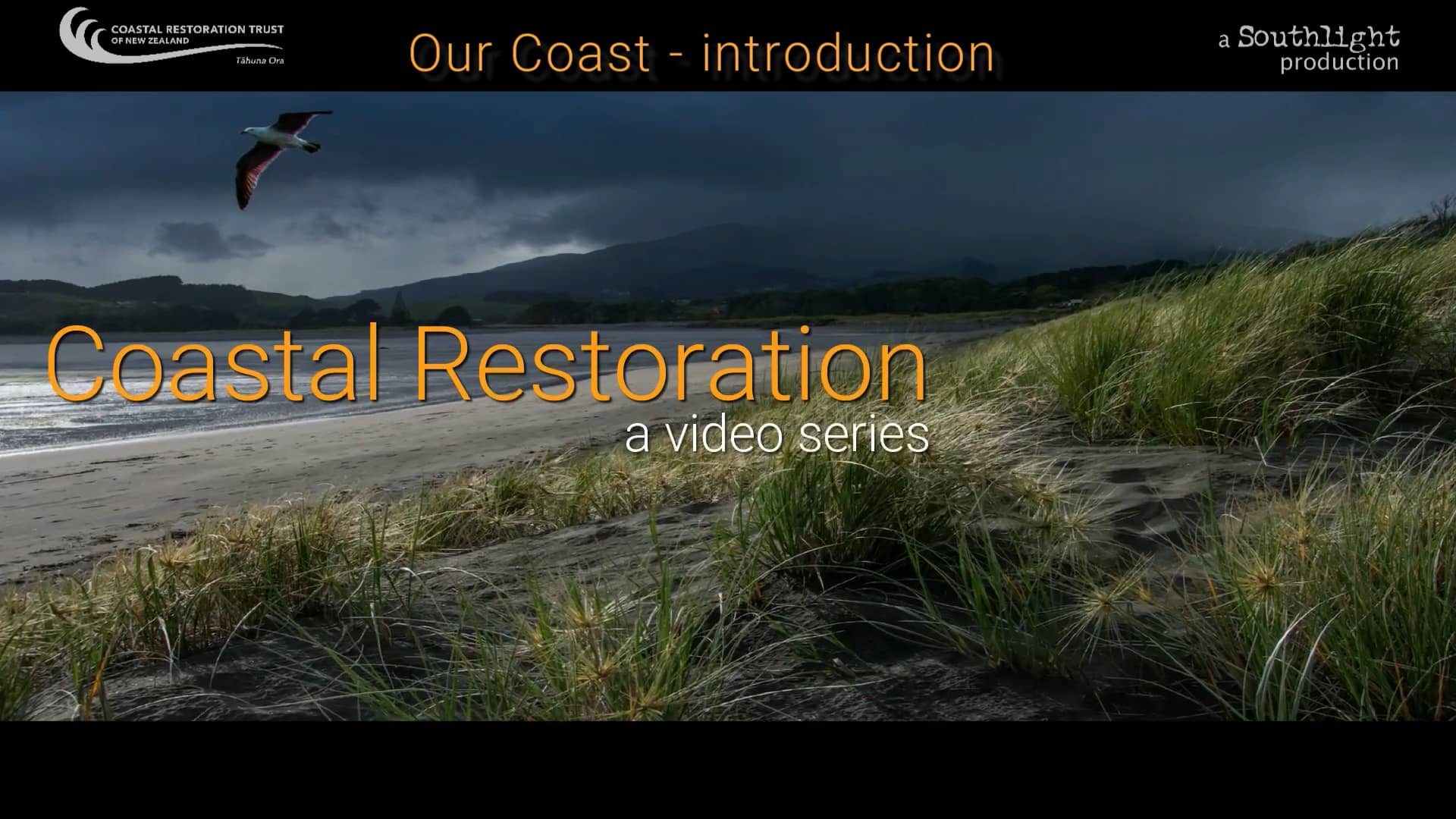 CRT introduction on Vimeo