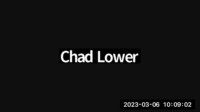 Bridget Hambleton and Chad Lower on Vimeo