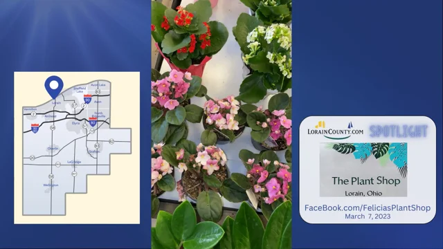 Flower Delivery Lorain Ohio | Best Flower Site