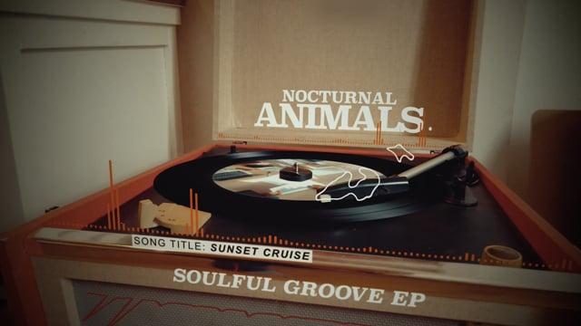 Vinyl Music Visualizer for After Effects