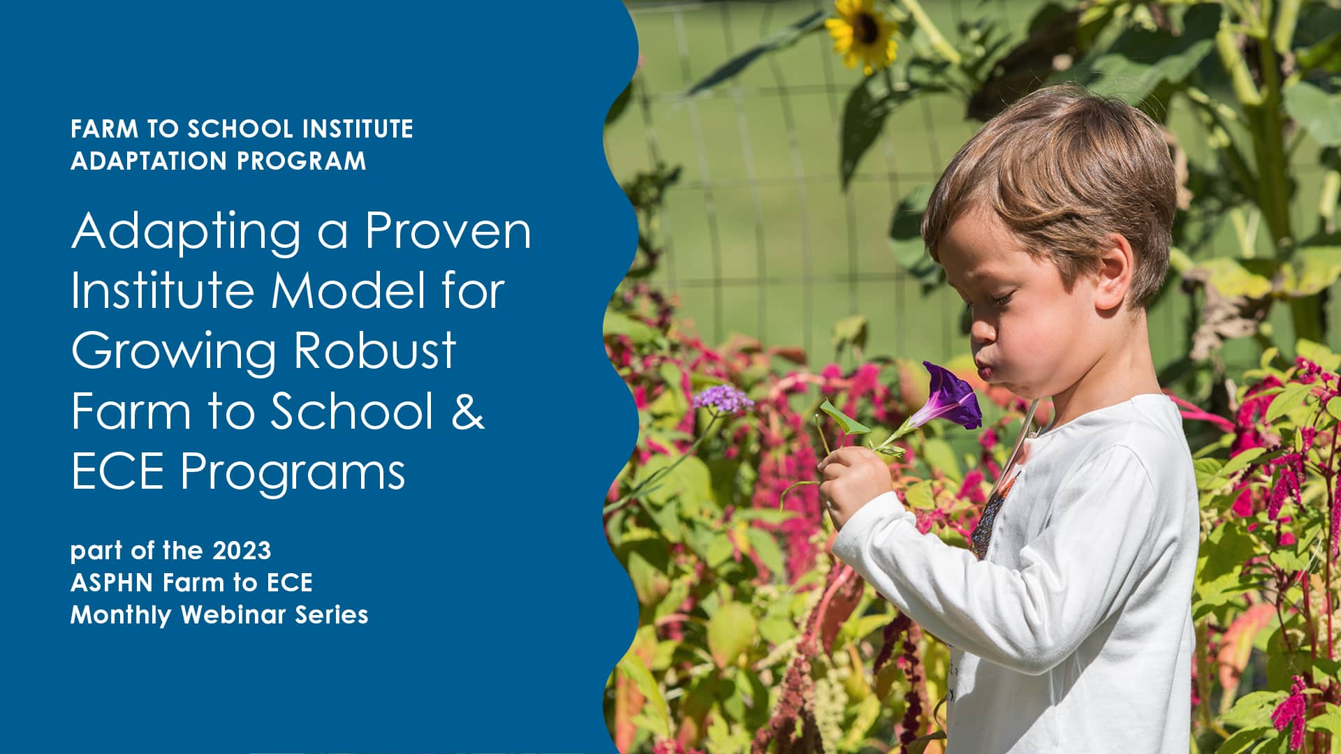 Adapting A Proven Institute Model for Growing Robust Farm to School ...