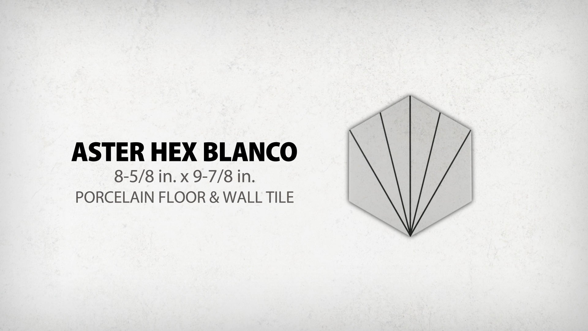Aster Hex Encaustic Porcelain Floor and Wall Tile - Contemporary - Wall ...