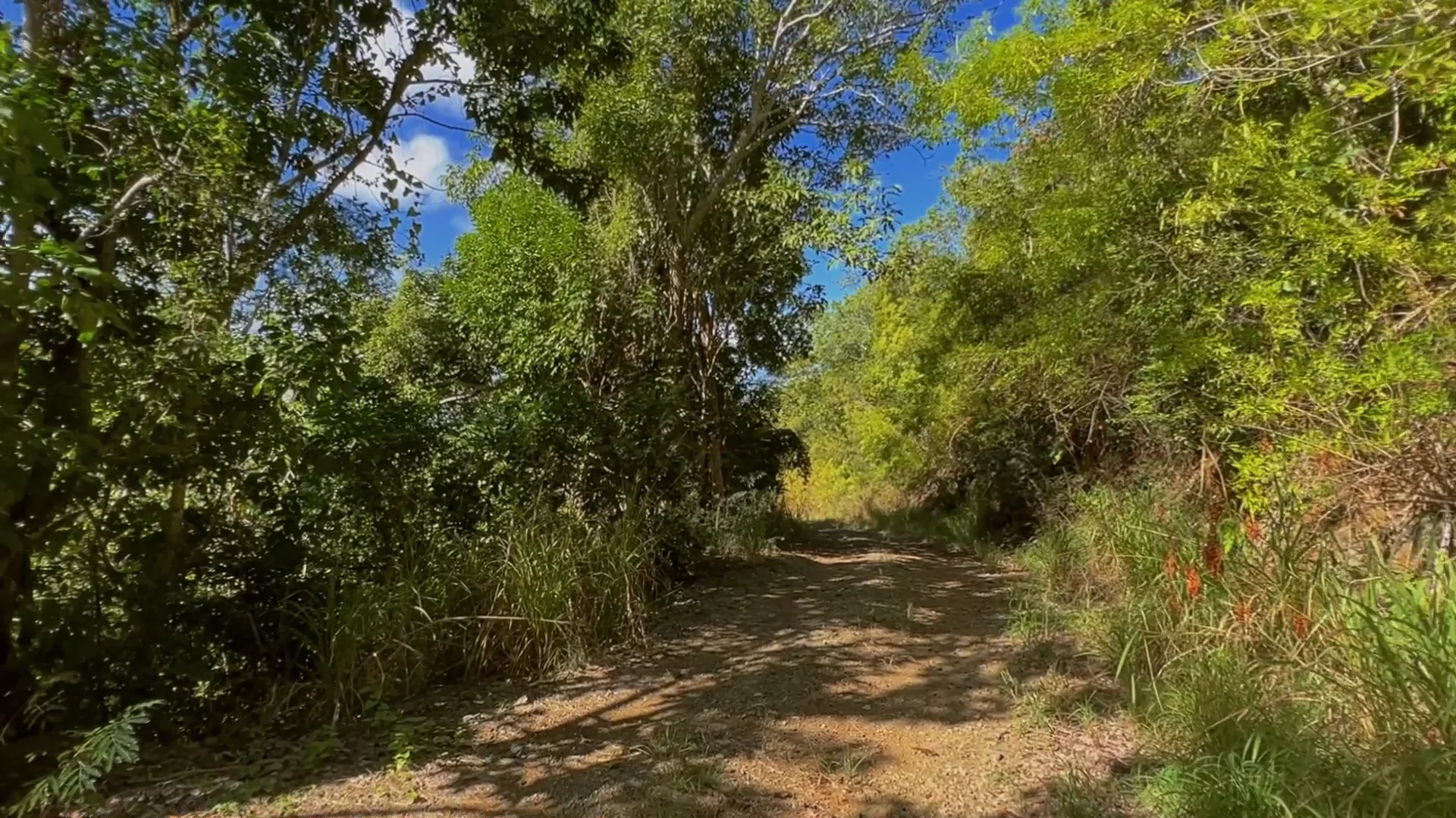 110 AD Cane Bay view from the road on Vimeo