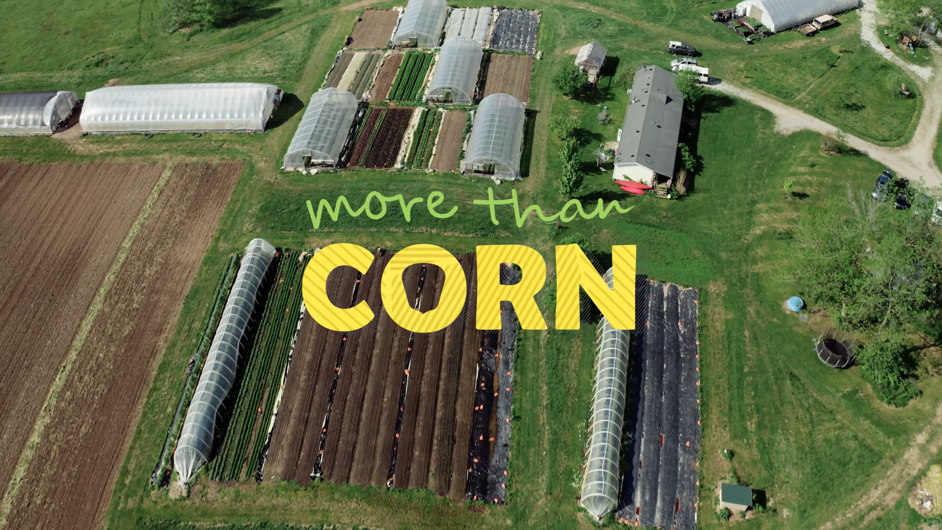 Watch More Than Corn Online | Vimeo On Demand on Vimeo