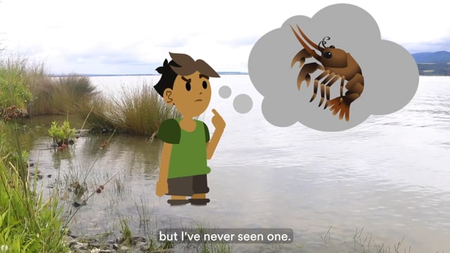 eDNA explorers – discovering life in the lakes of Aotearoa — Science ...