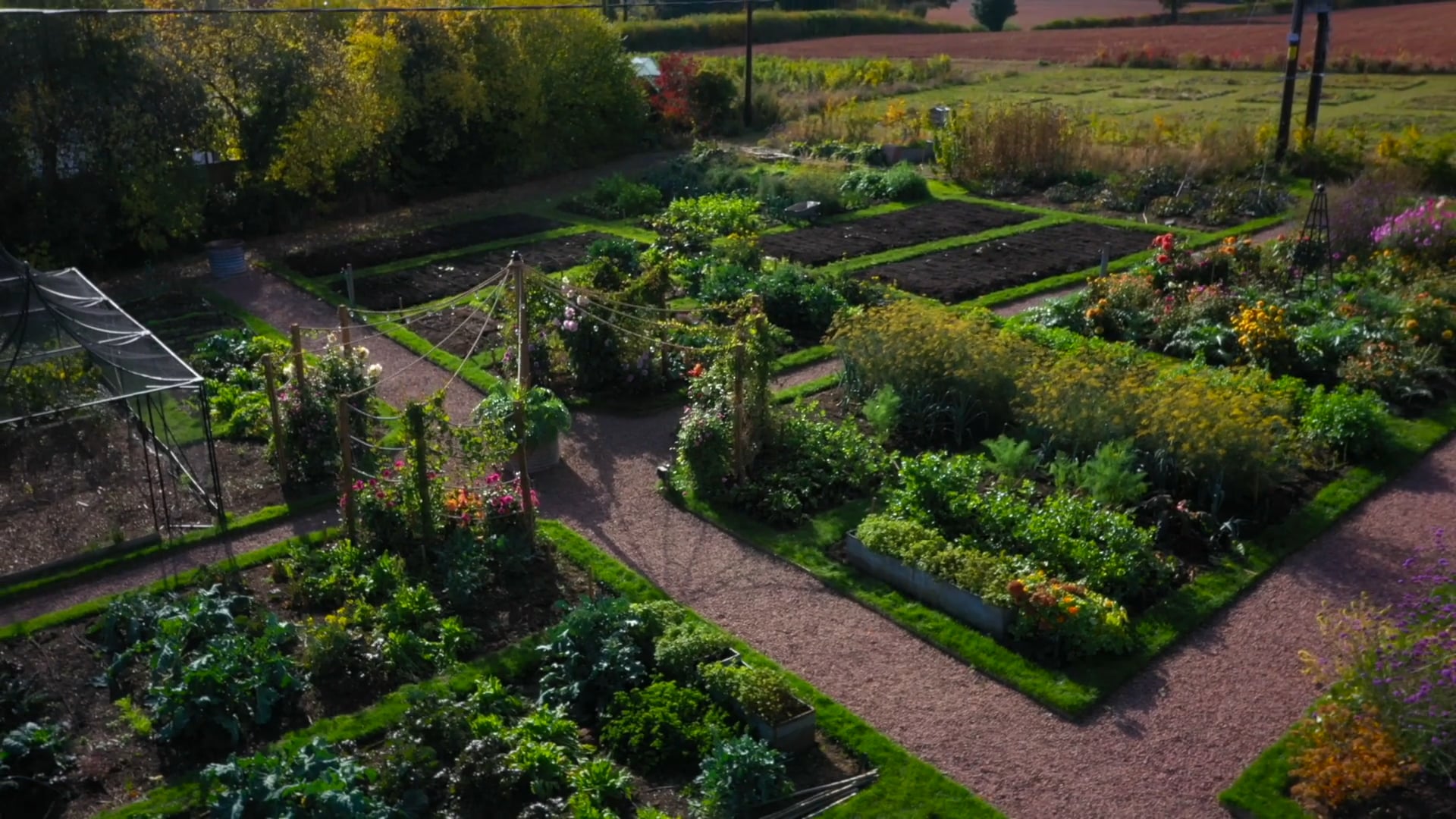 RMA Peta Clip on Vimeo