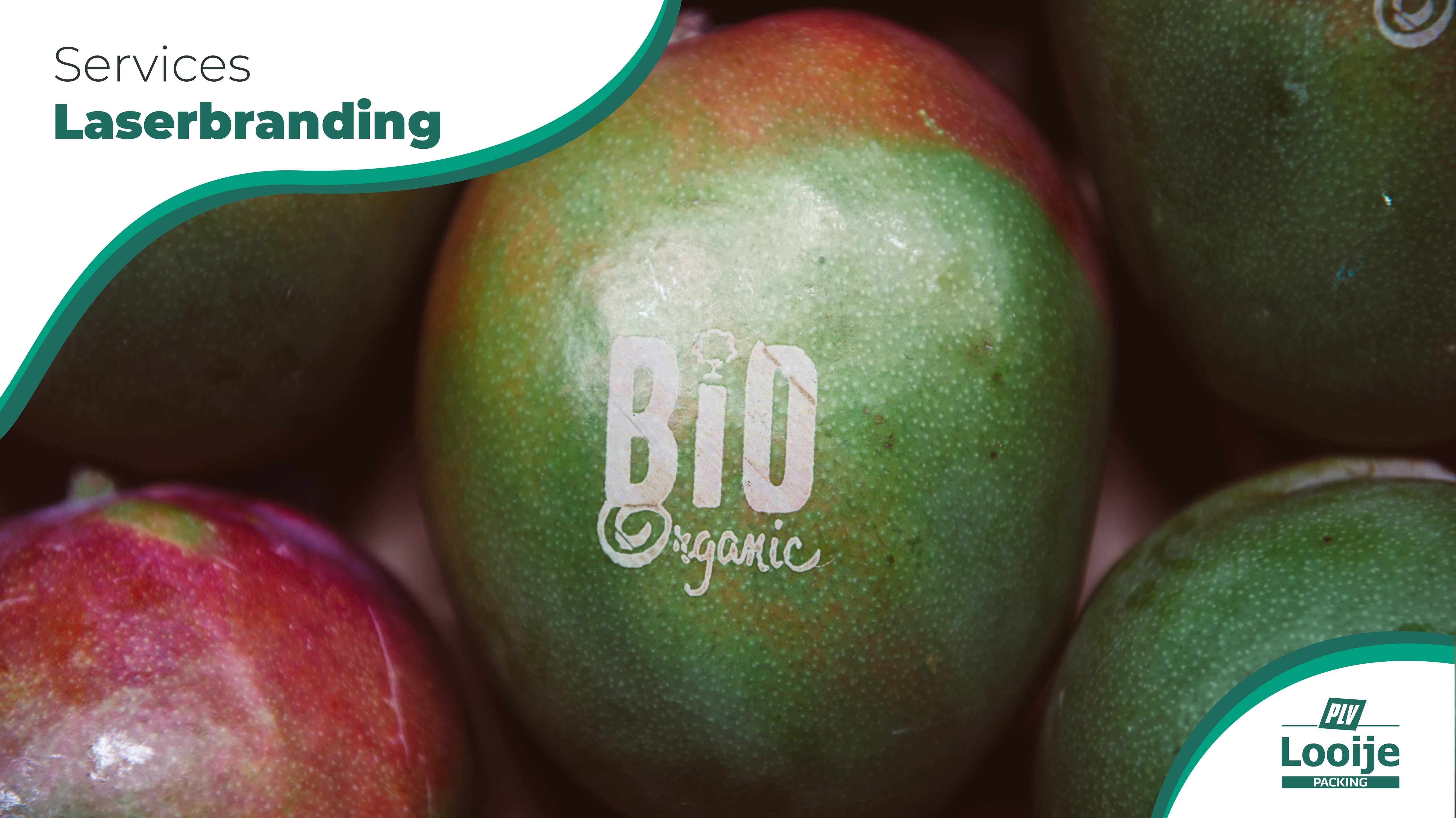 Eco-Friendly Laser Branding for Fresh Fruit and Vegetables | Looije ...