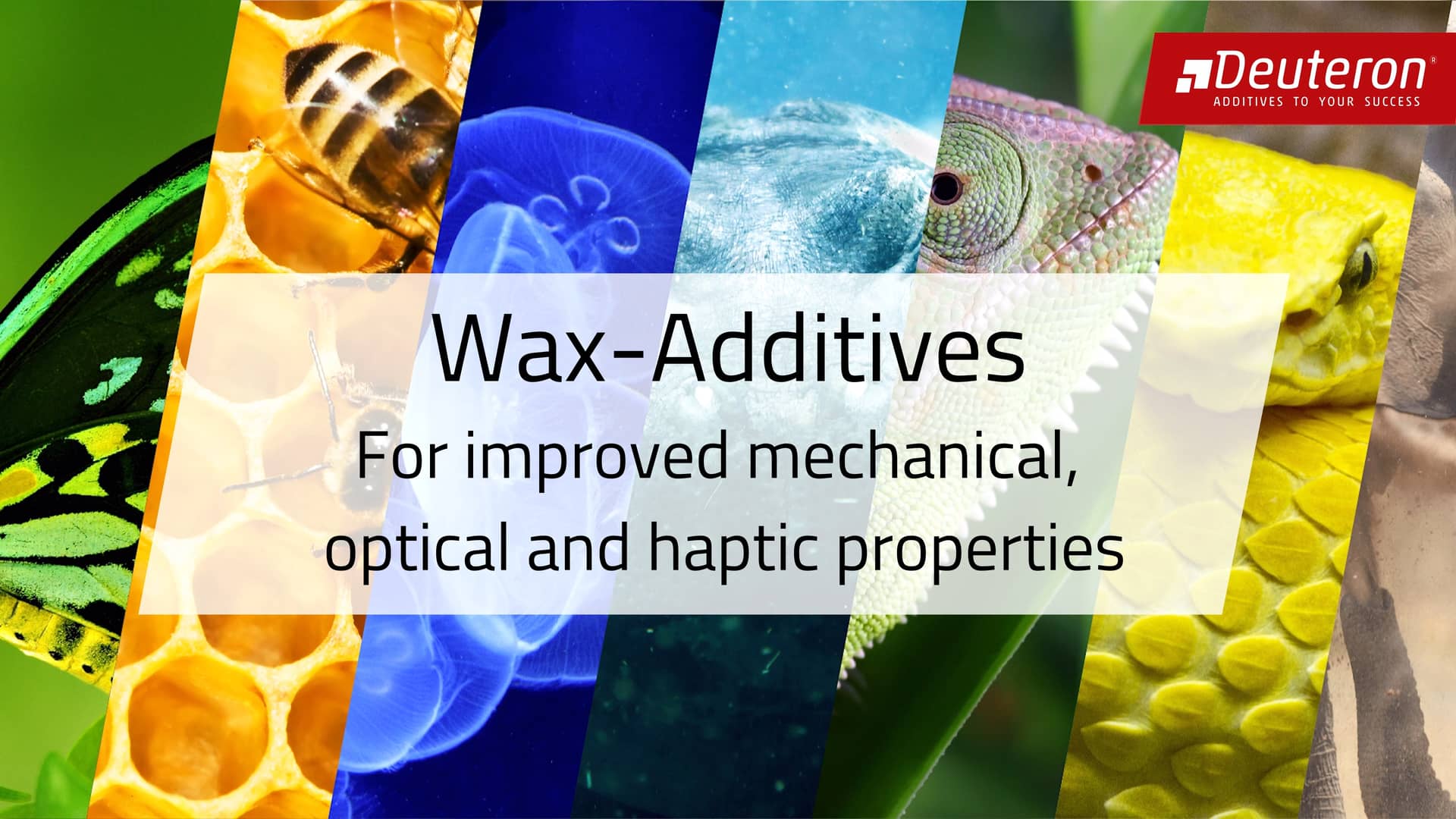 Wax-Additives by Deuteron on Vimeo