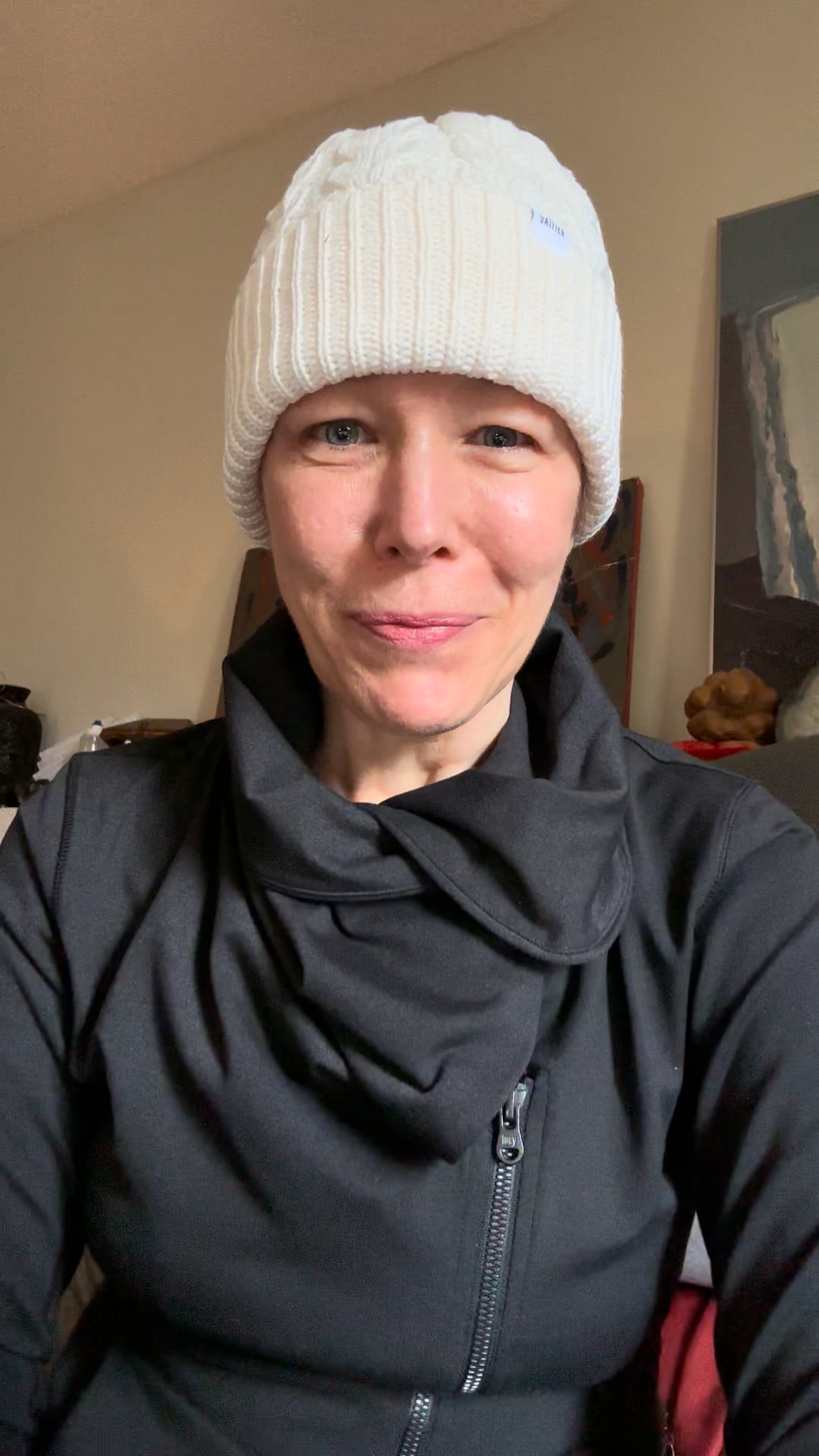 The 3 supplements used for neuroinflammation in the preparation phase ...