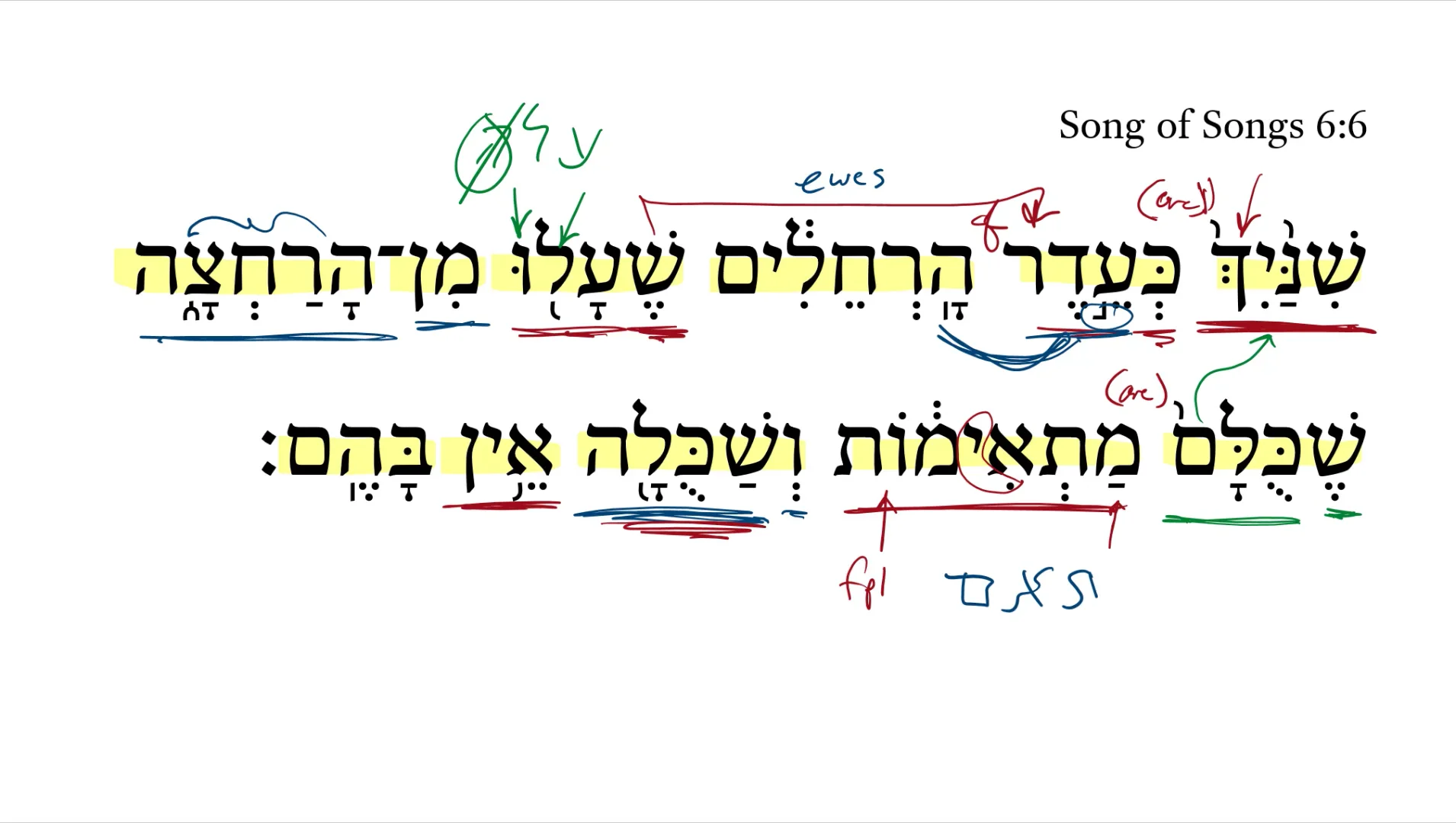 Song of Songs 6:6 on Vimeo