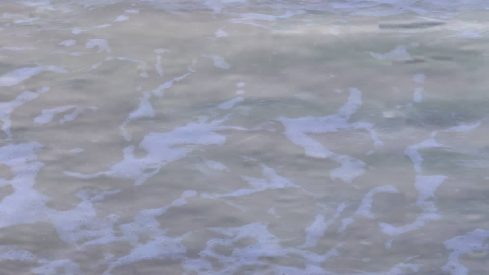 MARY NEWELL_text_SELINA ERSHADI_image 2.mp4 on Vimeo