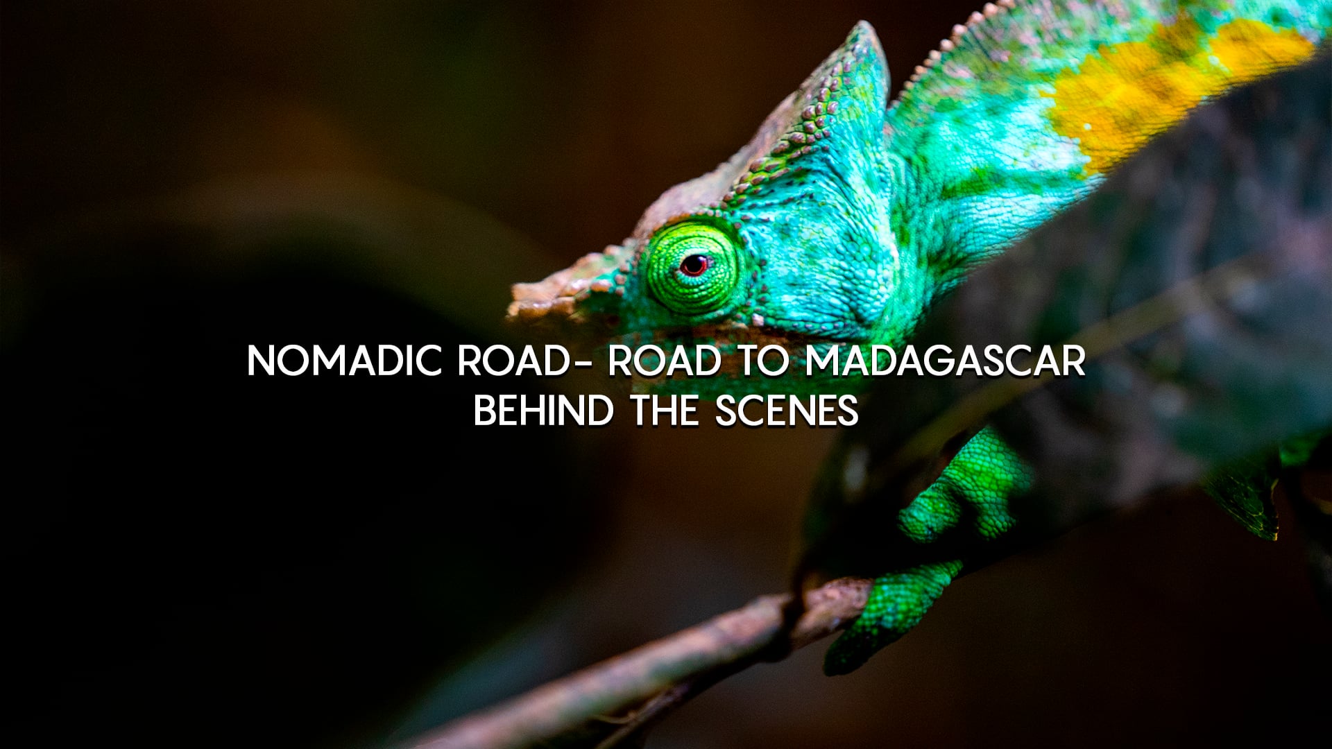 Nomadic Road - Road to Madagascar | Testimonials on Vimeo