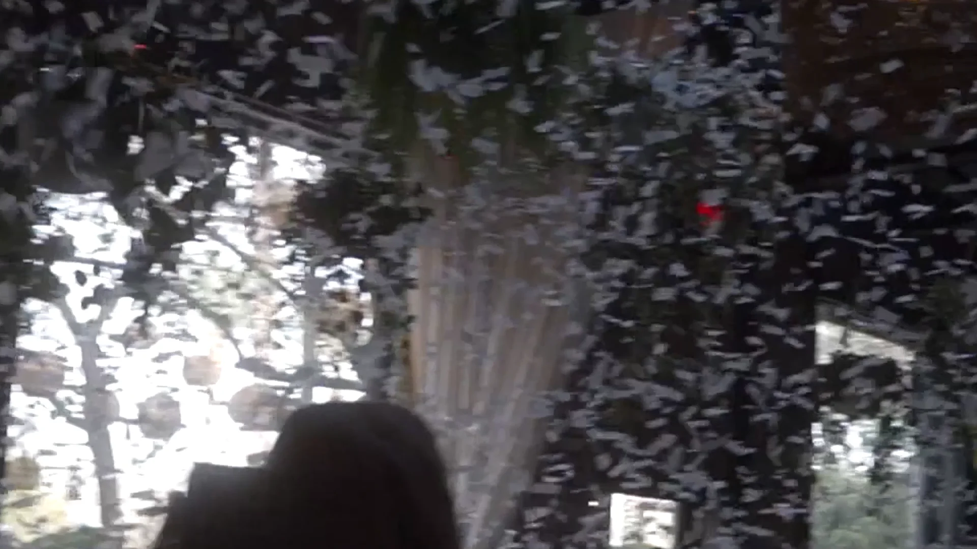 Lotus of Siam - CPB Video on Vimeo