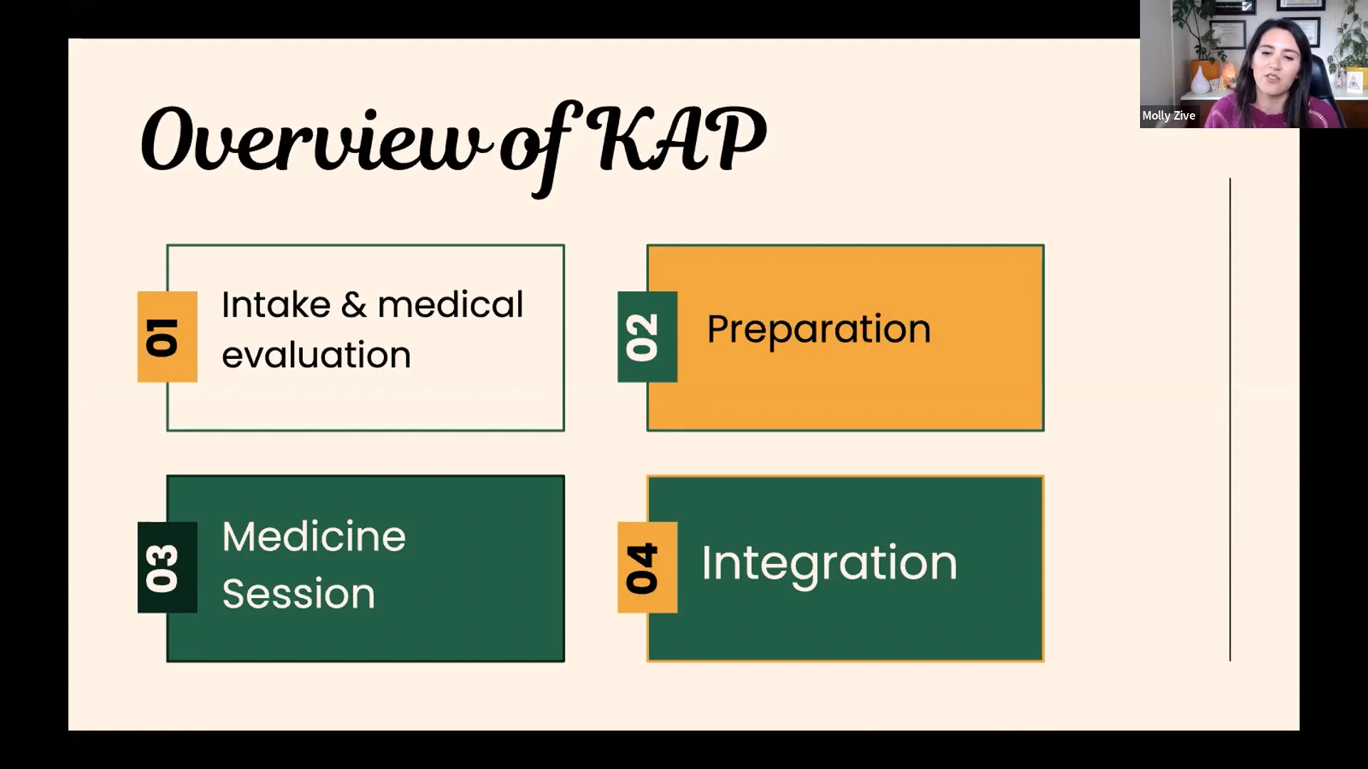 Introduction to Psychedelics for Mental Health (2 CEUs) - Video 2 ...
