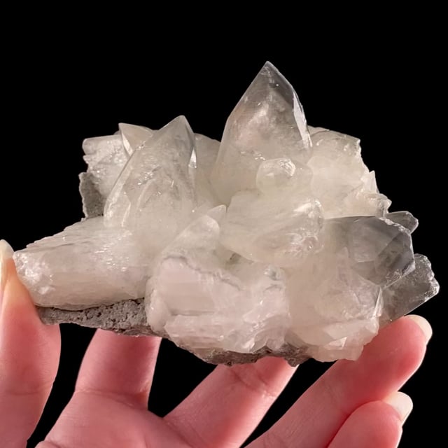 Calcite with Marcasite ''phantoms'' | Ives Quarry (Vulcan Materials ...