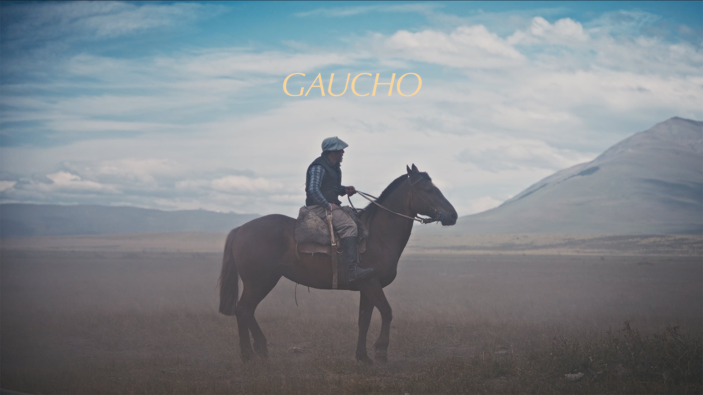 GAUCHO (el buen amigo)