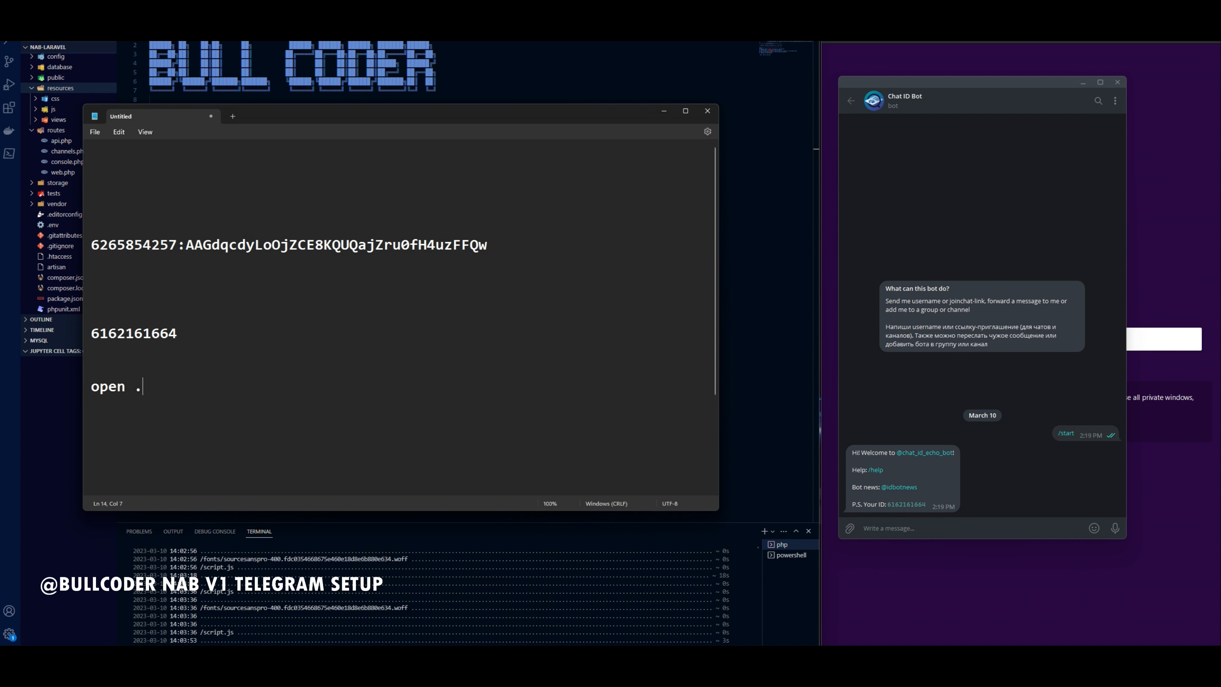 How to setup telegram in @buLLcoder scripts on Vimeo