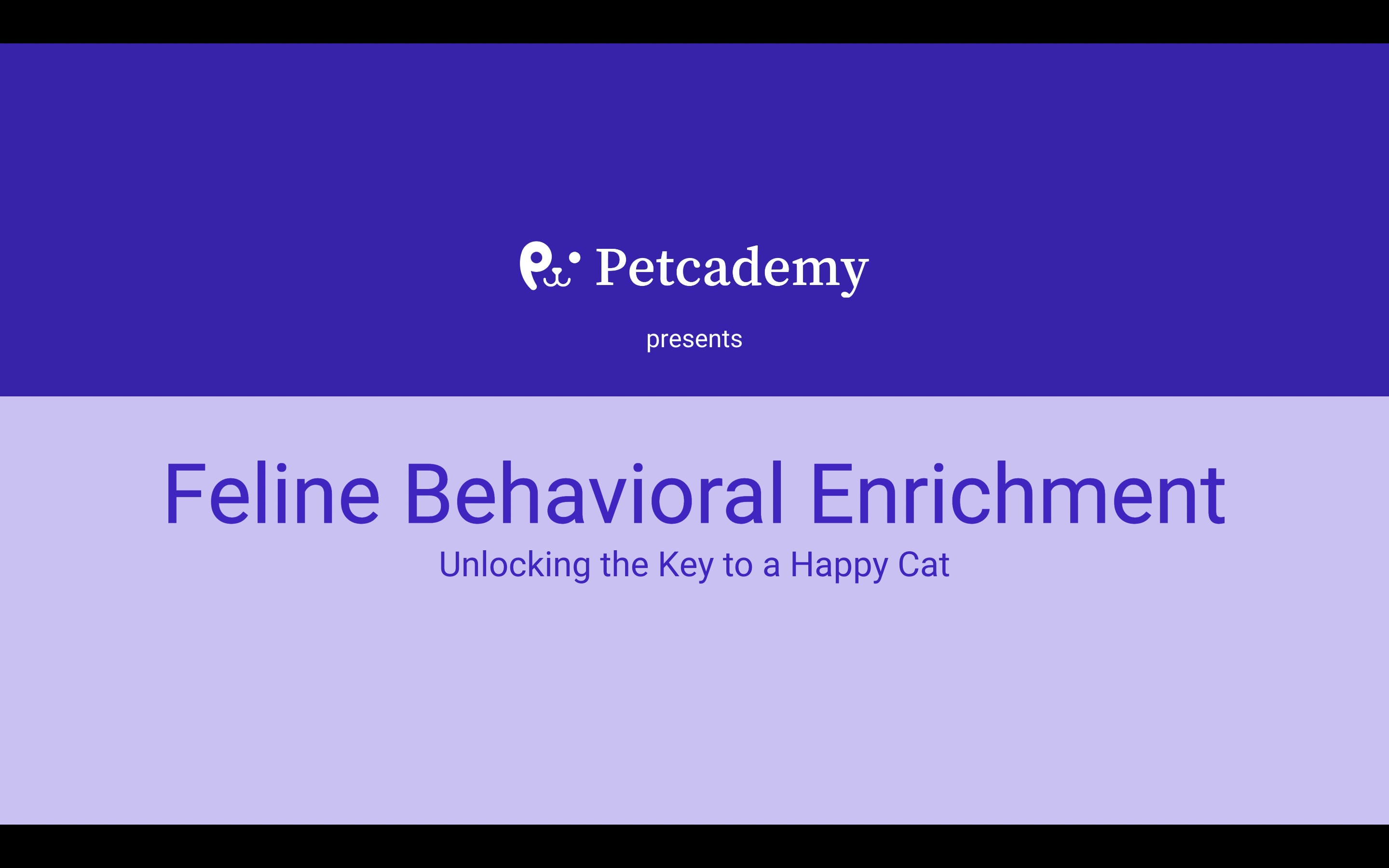 Feline Behavioral Enrichment: Unlocking the Key to a Happy Cat