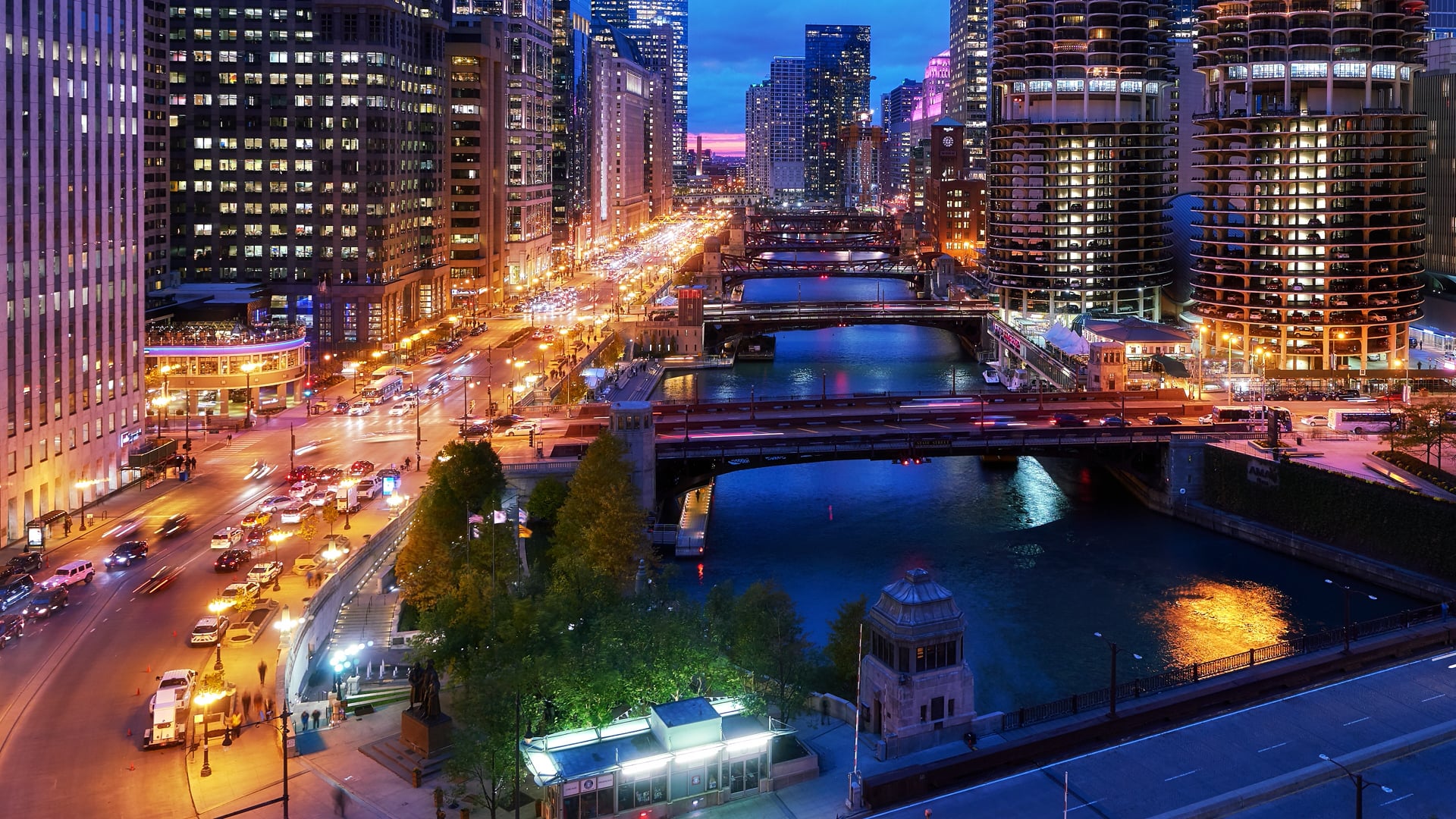 Gallery | Chicago Road Dogs