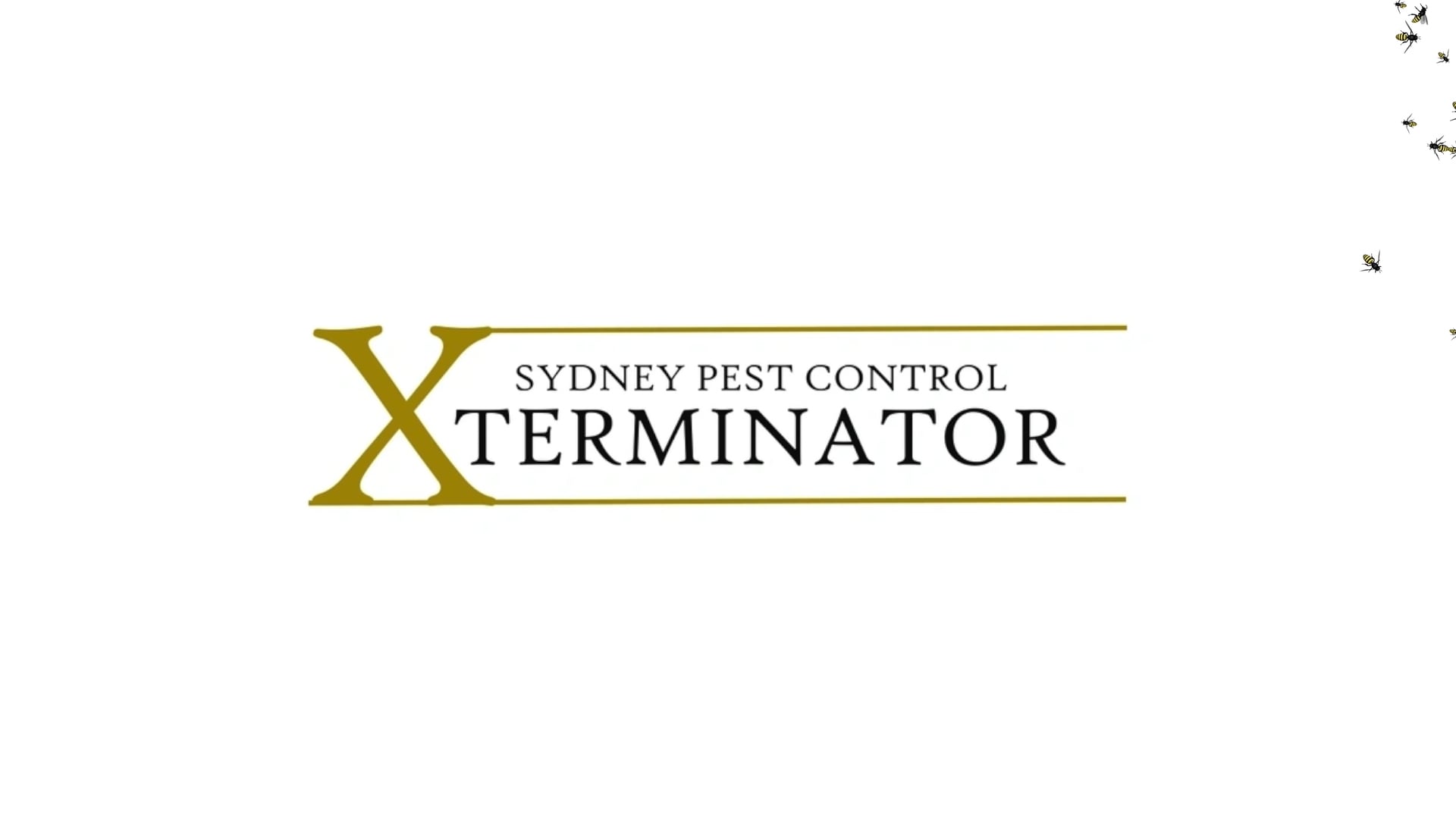 SYDNEY PEST CONTROL XTERMINATOR