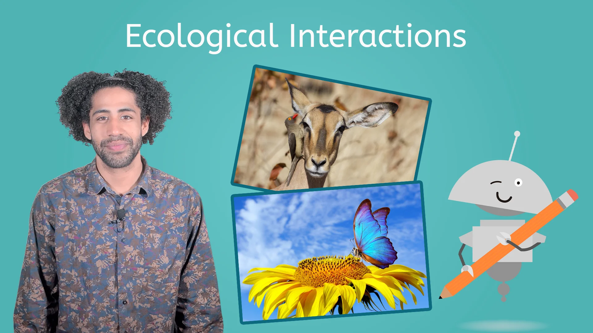 Ecological Interactions