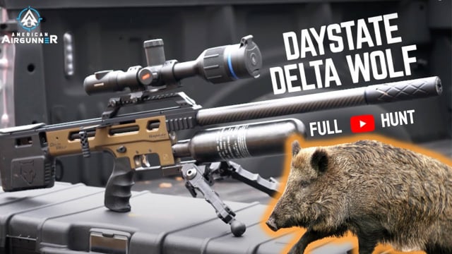 Delta Wolf vs MONSTER Hog - American Airgunner - Airgun101