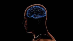 More Medical Rebus Puzzles - Cliff L. King, M.D. Internal Medicine