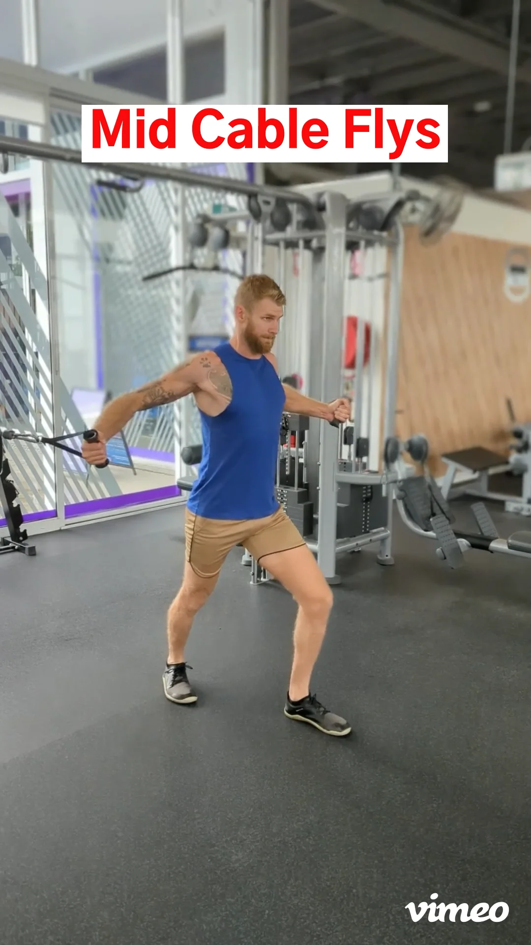 Mid Cable Fly Demo (Copy) on Vimeo