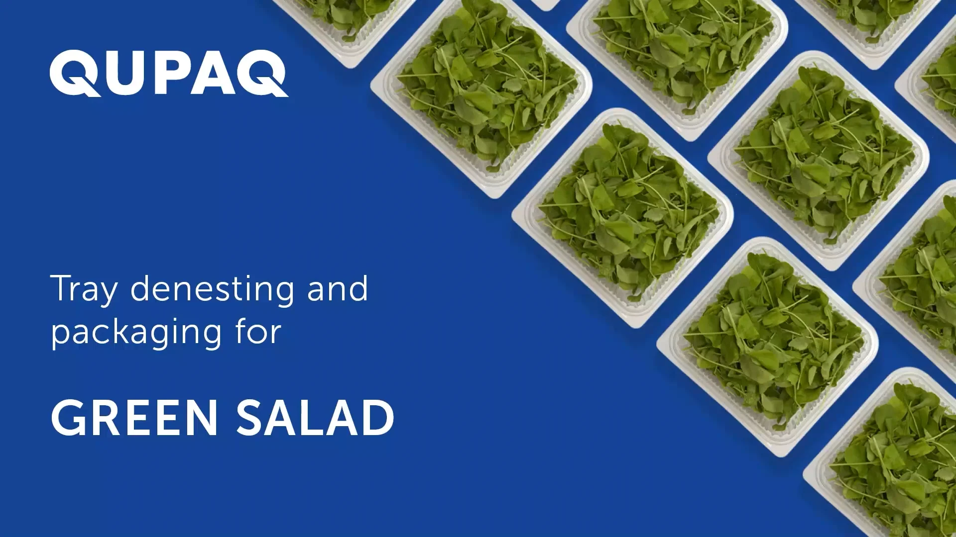 INTRAY Buffer Servo - Tray denesting and packaging for salad