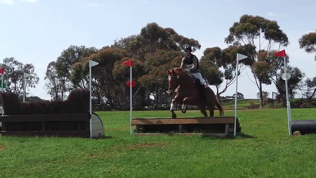 Lachlan Holland riding VPH Little Reward 505 Grade 4 Werribee Pony Club ...
