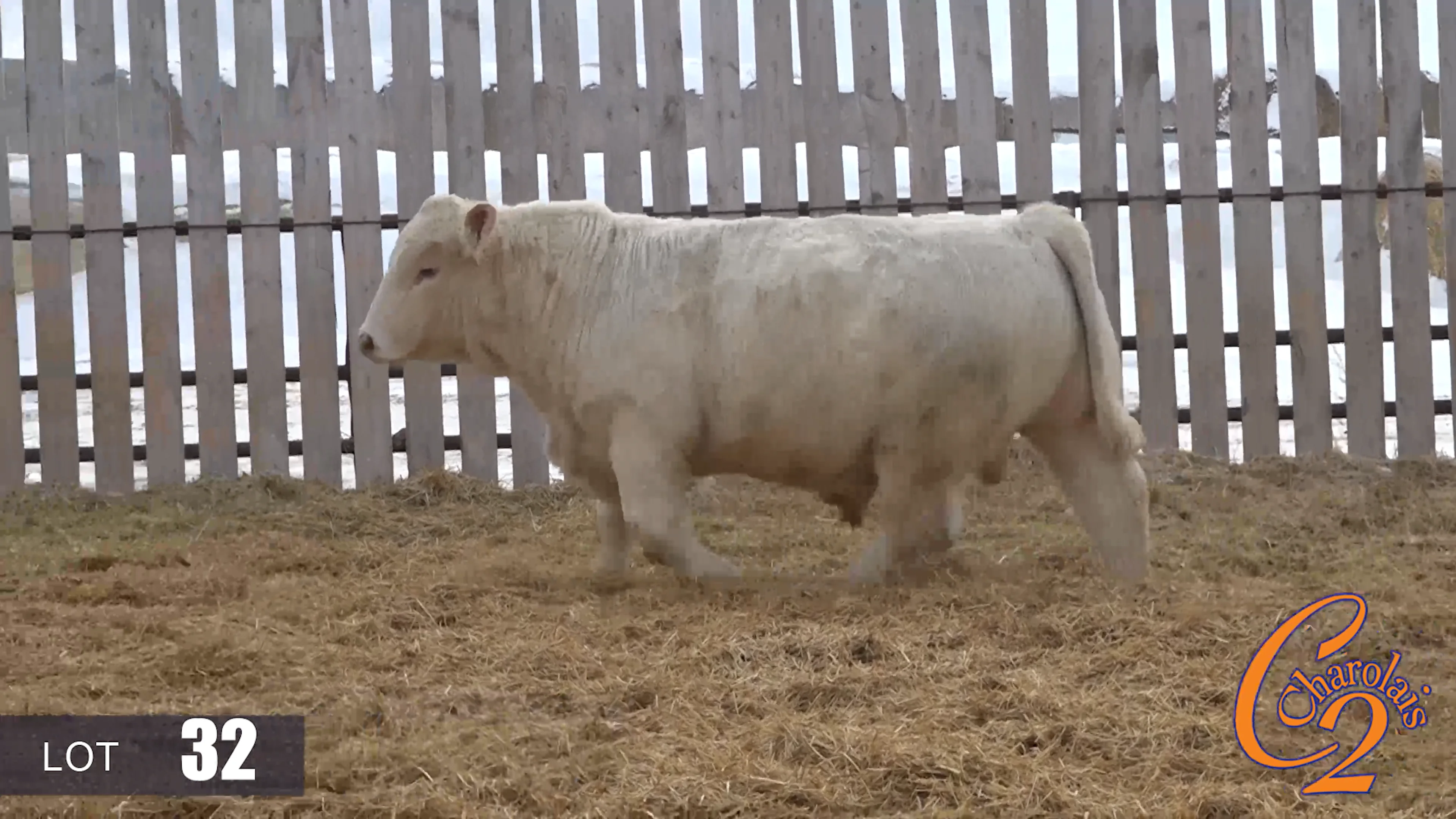 lot32_c2_cavers_2023 on Vimeo