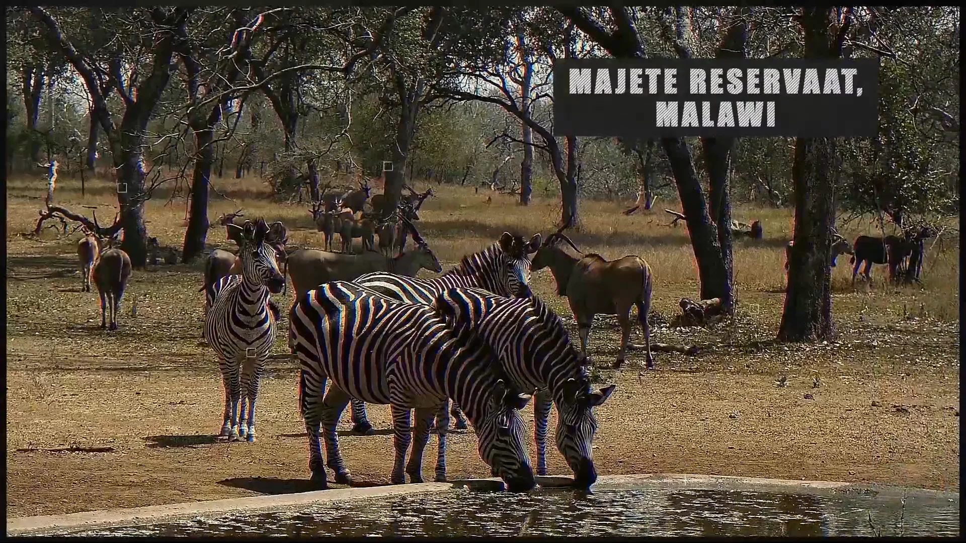 Mal Kamper S2 ep.5 - Malawi: Majete (Waterfall Hike and Nature Camp Insert)