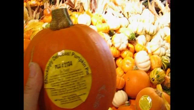 DIY Homemade Pinhole Camera made from a pumpkin on Vimeo