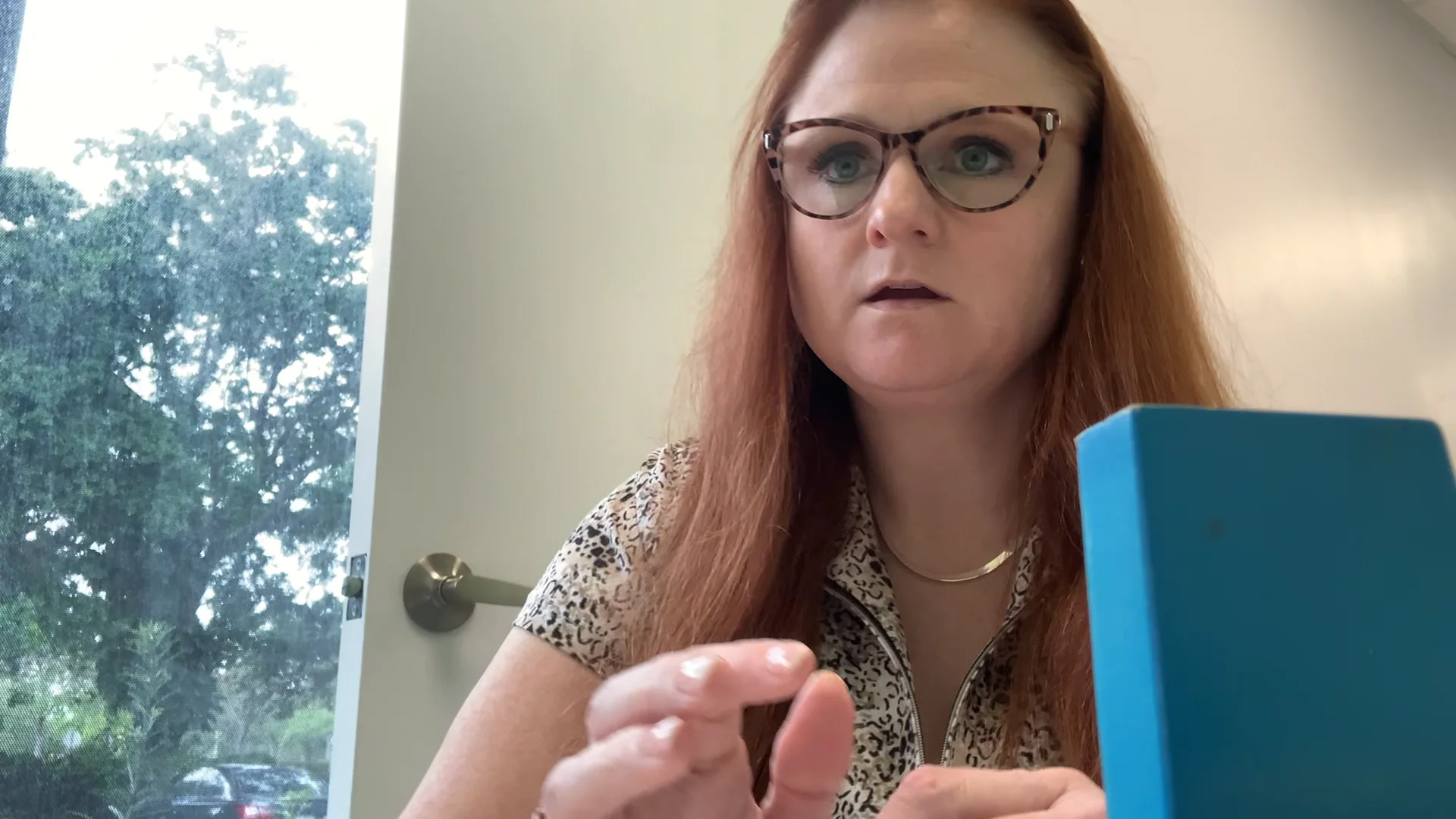 Mand for Missing Items Model