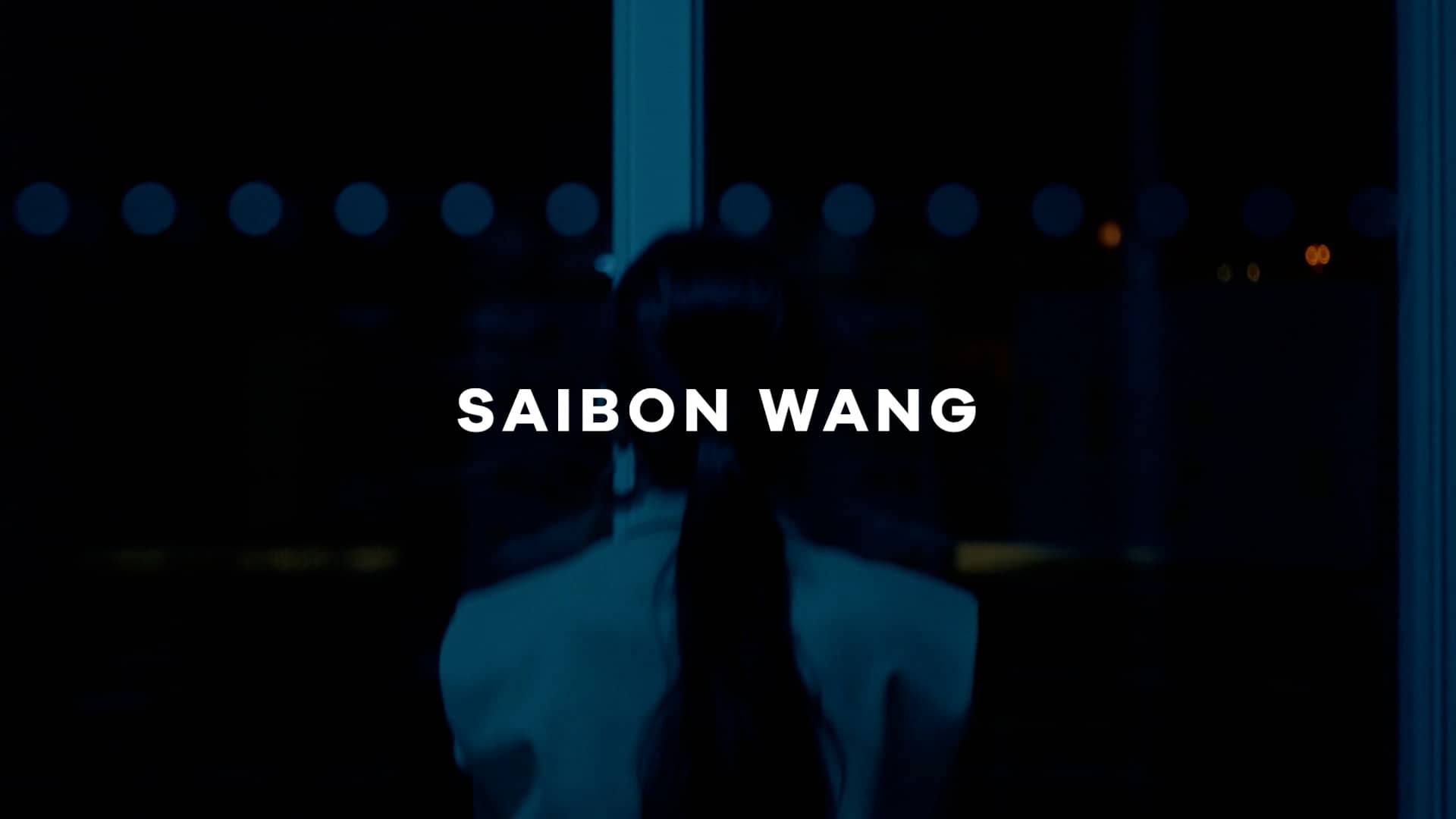 SAIBON WANG - VIDEOBOOK on Vimeo