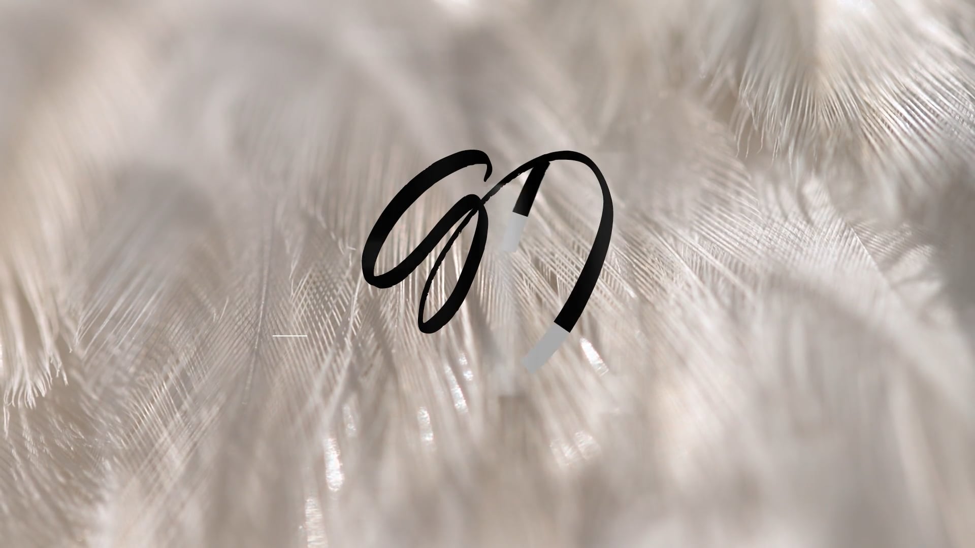 Grand Frais - EP10 VOLAILLES DE BRESSE on Vimeo