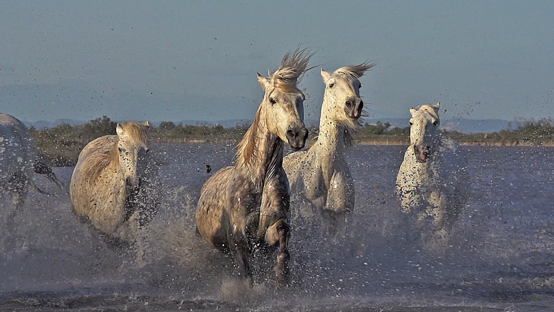 63099312_1080p.mov on Vimeo