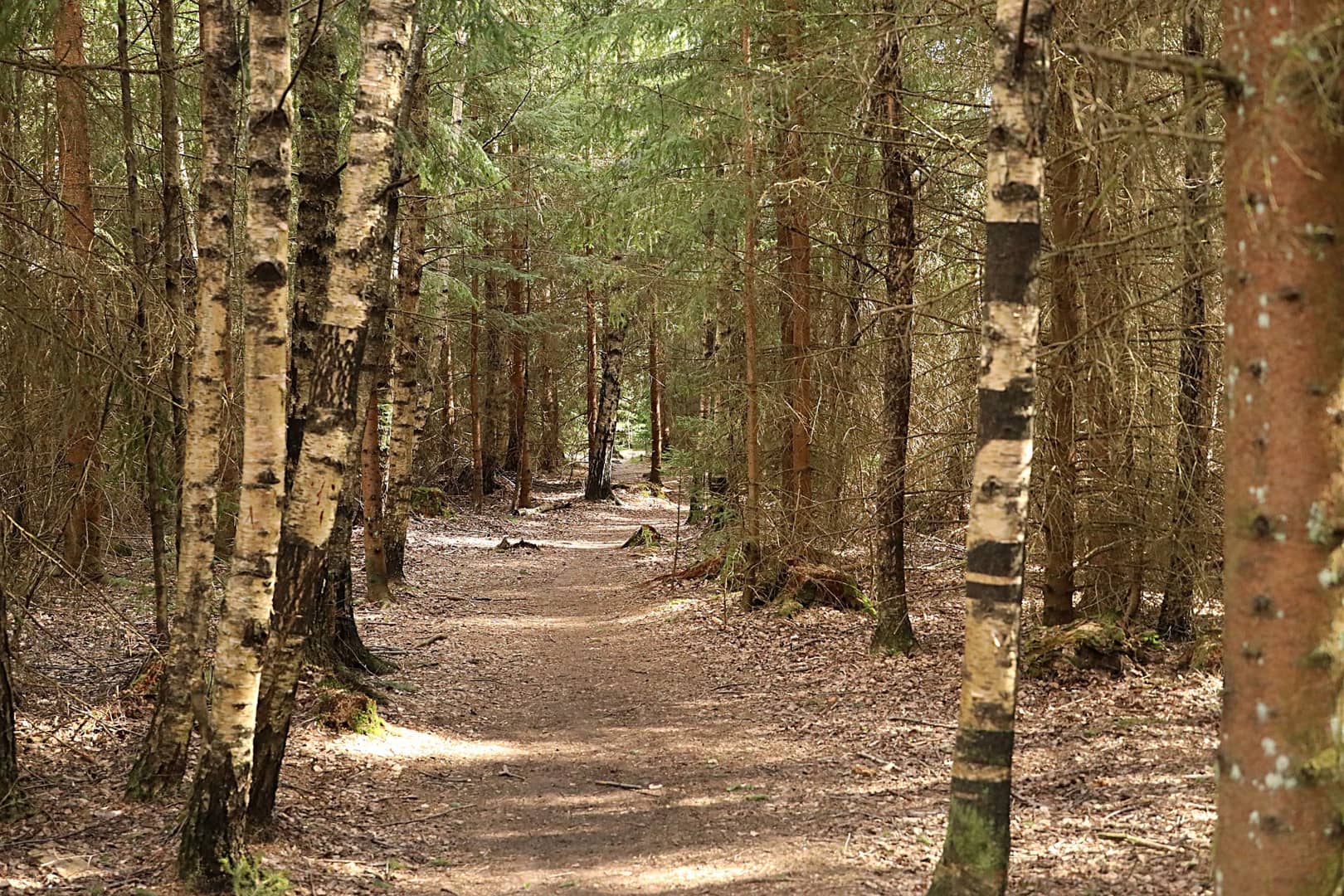 Livestream Mill Hill Oosterbeek on Vimeo