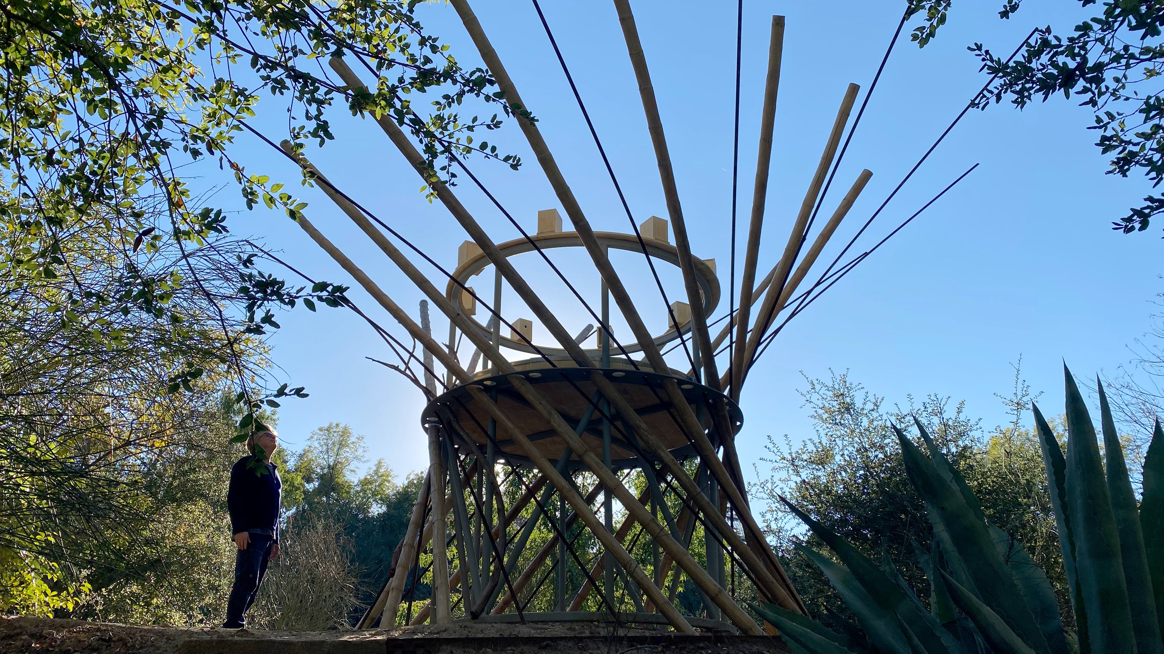 Biophilia Treehouse on Vimeo