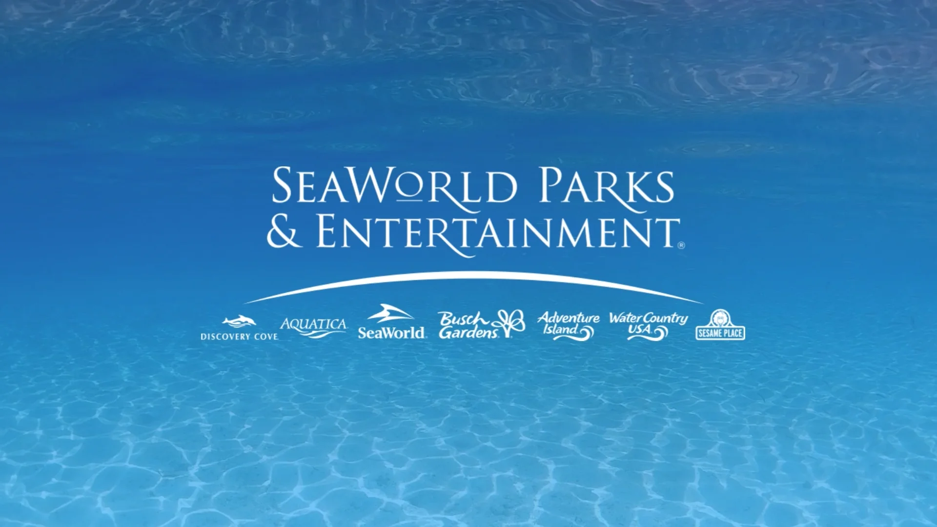 SWO International Program Welcome!