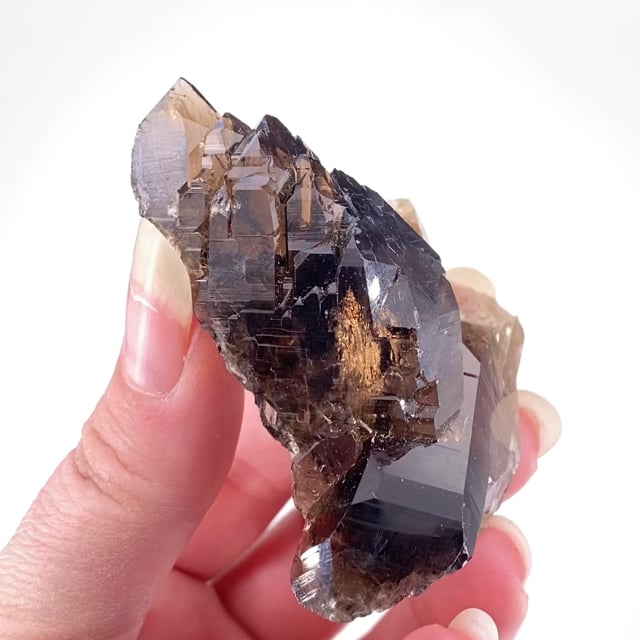 Quartz var: Smoky (''Gwindel'') | Göscheneralp, Göschener Tal, Göschenen, Reusstal, Uri, Switzerland
