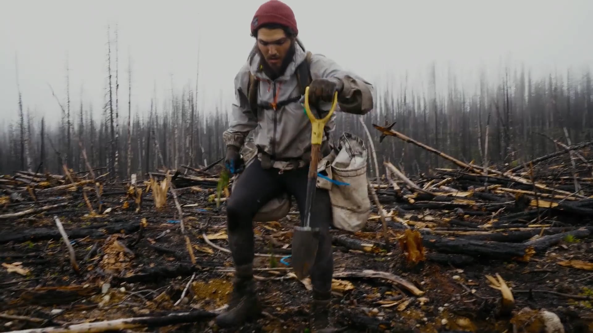 FOREST FOR THE TREES - The Tree Planters TRAILER on Vimeo