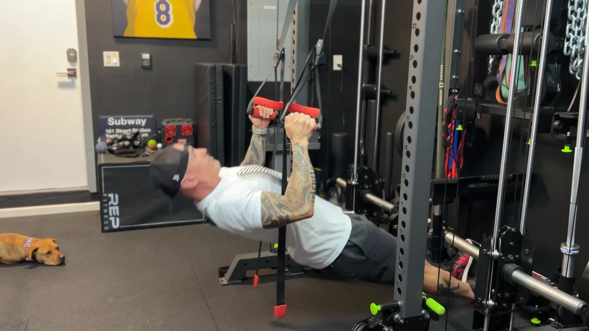 Neutral Grip Inverted Row on Vimeo