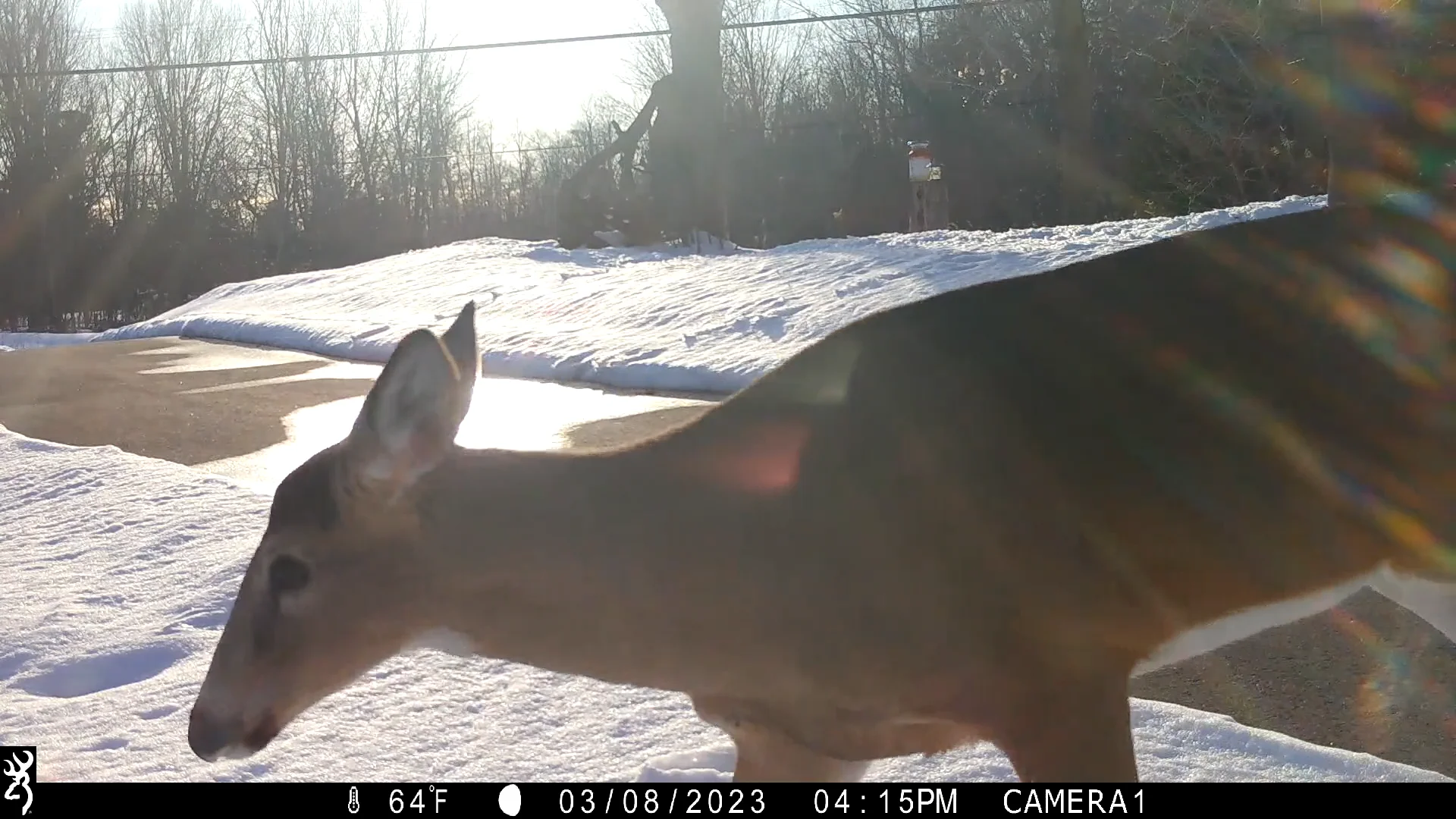doe day & night on Vimeo