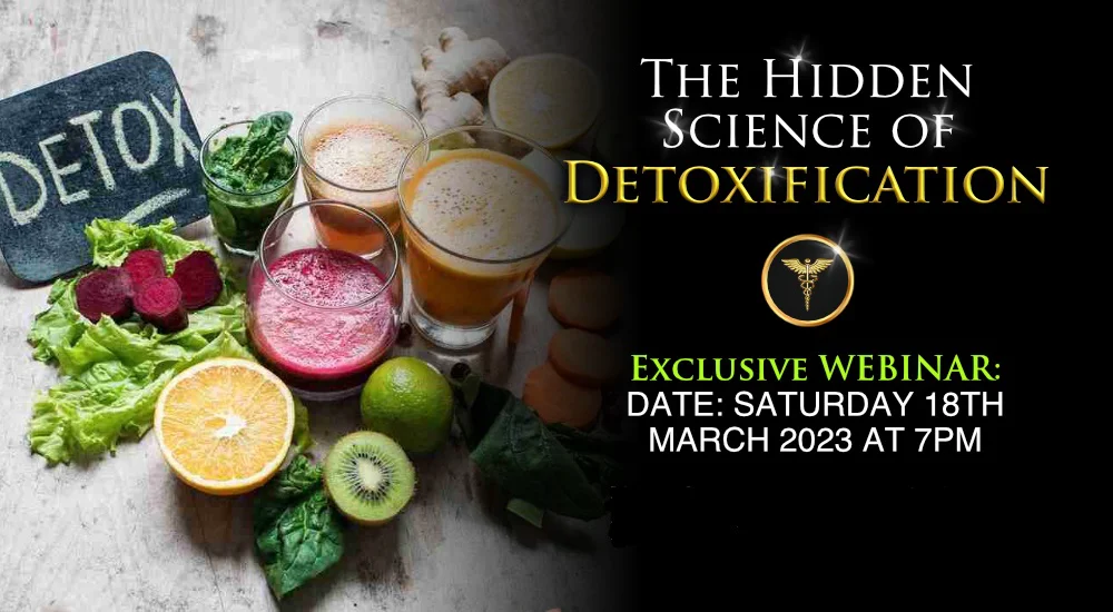 The Hidden Science of Detoxification on Vimeo
