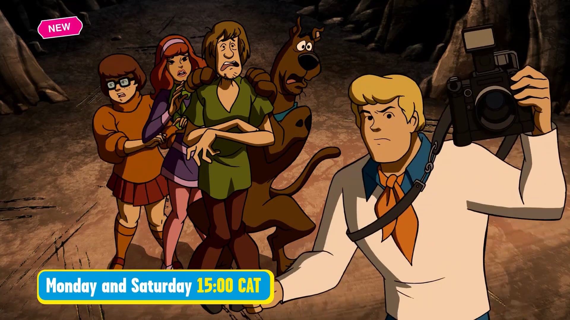 Boomerang : Movie stars Scooby Doo on Vimeo
