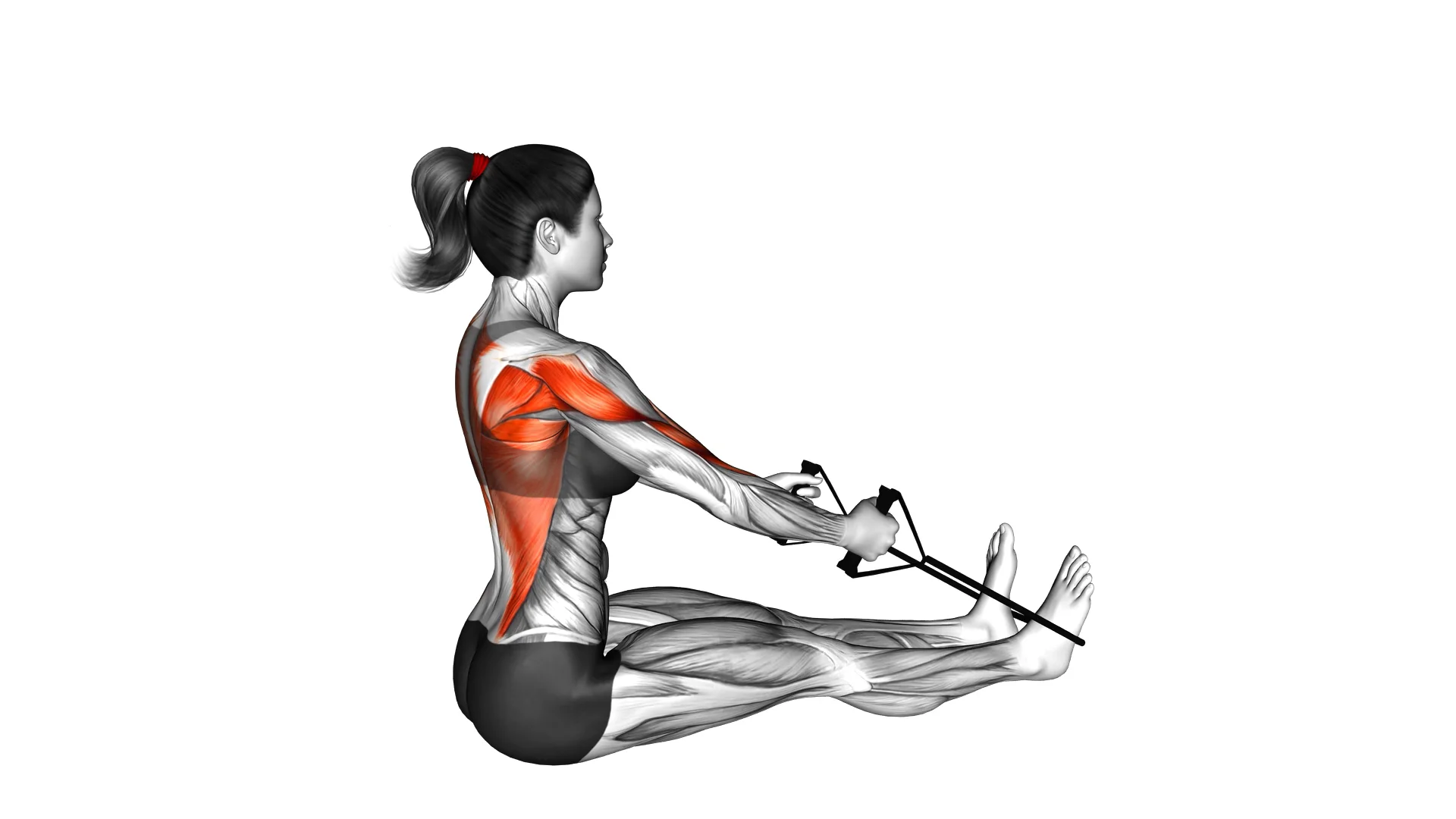 Band-straight-back-seated-row-(female)_Back on Vimeo