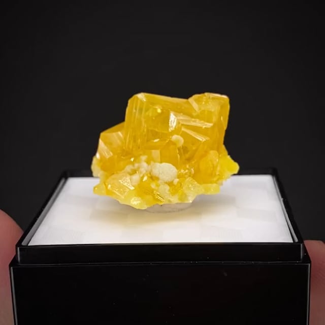 Wulfenite with Mimetite - SM23-72 - La Morita Mine - Mexico Mineral ...